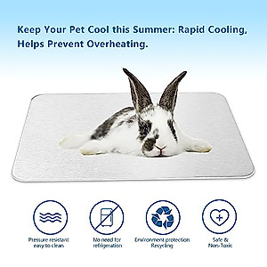 Oziyrnka 2pcs Rabbit Cooling Pad, Rabbit Cooling Mat Stay Cool Summer, Aluminum Rabbit Cooling, Bunny Cooling Pad Bite Resistance, Bunny Cooling Mat Keep Rabbit Cool, Self Cooling Mat for Small Pets.