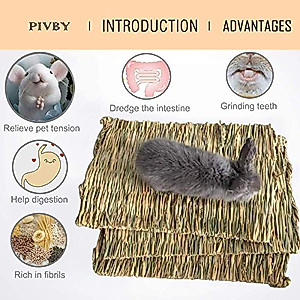PINVNBY Rabbit Mat for Cages Woven Bunny Grass Bed Nest Chew Toy Bed for Hamsters Parrot Hedgehog Guinea Pig Bunny and Other Small Animals (12 Pack)