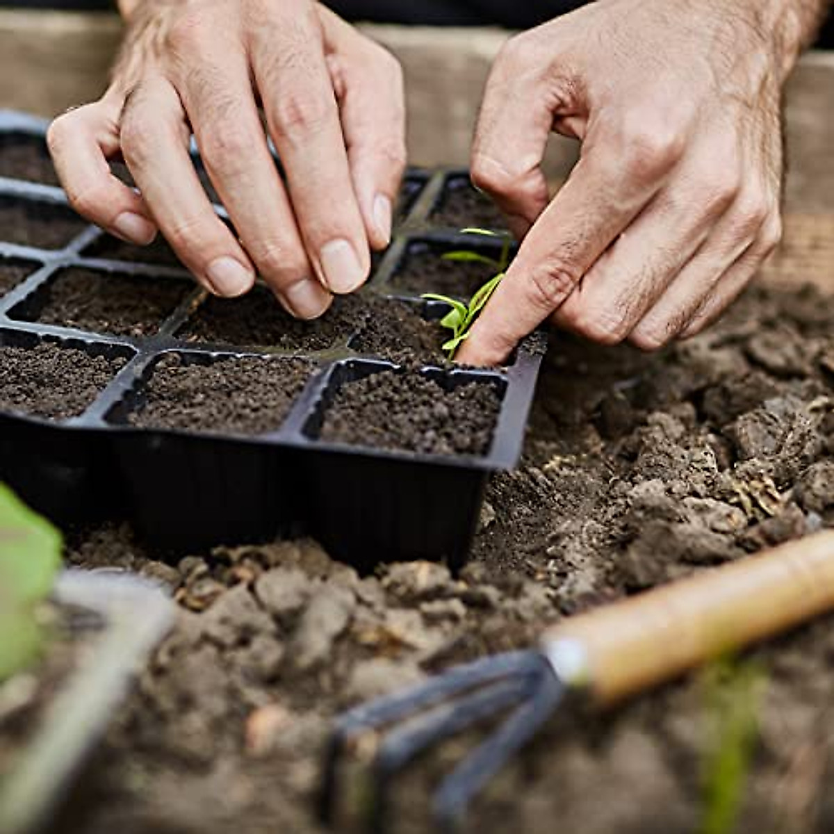 Halatool 10 Pack Seed Starter Tray Black Seedling Starter Trays with Humidity Dome Reusable Seed Starting Trays 240 Cells Seed Starter Kit with 2 Garden Tools & 200 Plant Labels for Seeds Starting