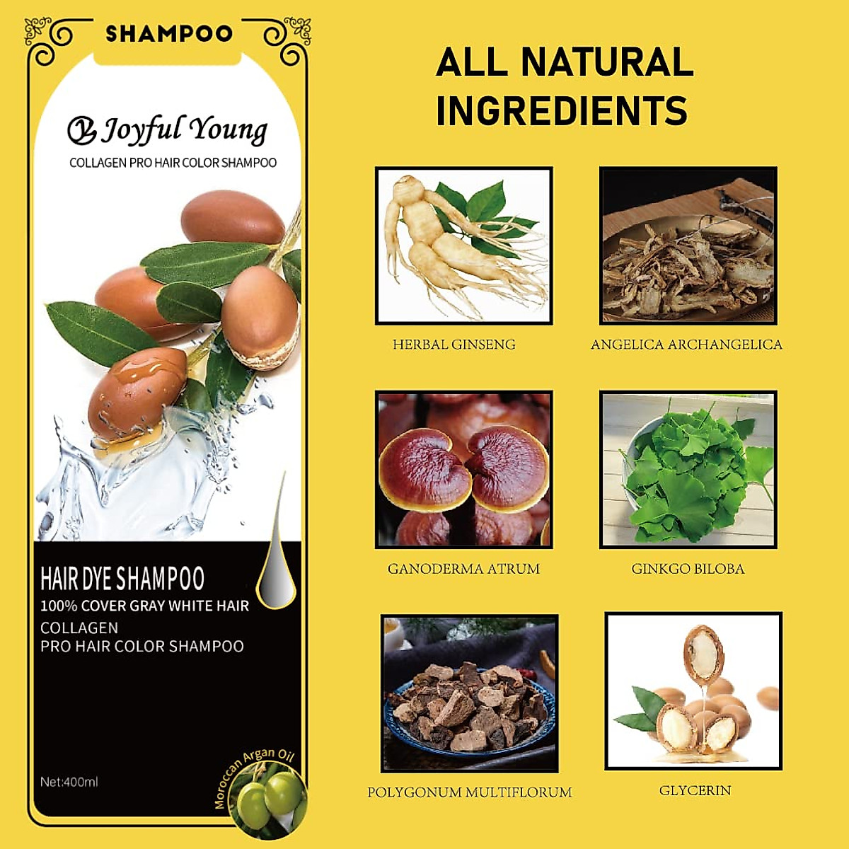 Joyful Young Natural Hair Dye Shampoo - Black - Semi Permanent Hair Coloring Shampoo for Women and Men - Gray Hair Coverage - Color Shampoo Beard Dye - Vegan Ammonia Free Hair Shampoo