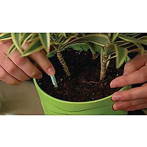 Scotts Indoor Plant Food Spikes, Includes 48 Spikes - Continuous Feeding for all Flowering and Foliage Houseplants - NPK 6-12-6, 48 Count (Pack of 12)