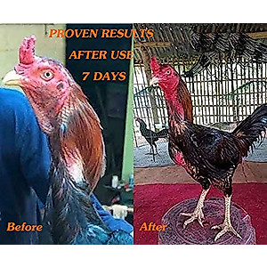 New MAXX 30 Capsules, Rooster Booster Vitamins Health Chicken Supplement Capsule, Increasing Energy Formula Stronger & More Power Healthy Feed Cock Fighting Gamecocks, Bird, Good Breeding, Hen Food