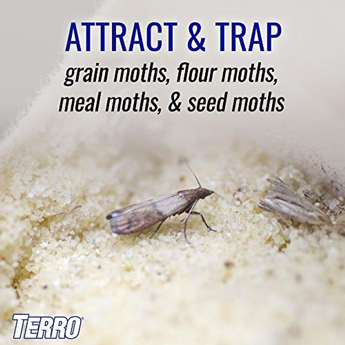 TERRO T2900 2-Pack Pantry Moth Traps - Traps grain moths, flour moths, meal moths, and seed moths