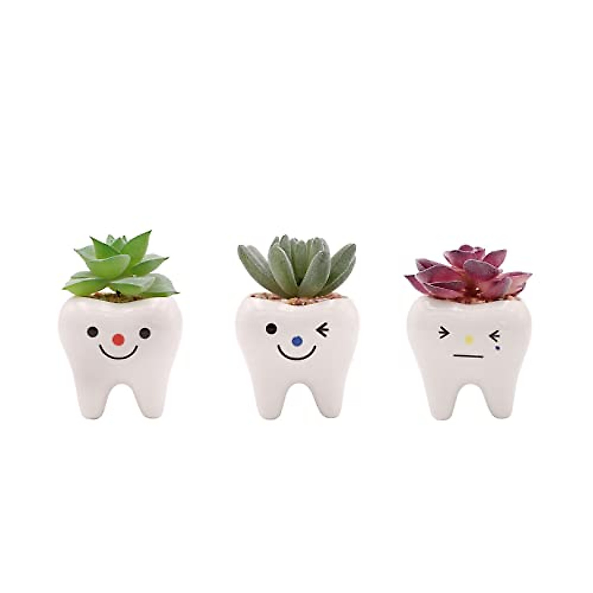MONMOB Pack of 3 Mini Shaped Tooth Planter Ceramic Succulent Plant Pots Set for Small Succulent Tooth Gifts for Adults Kids Women Dentist
