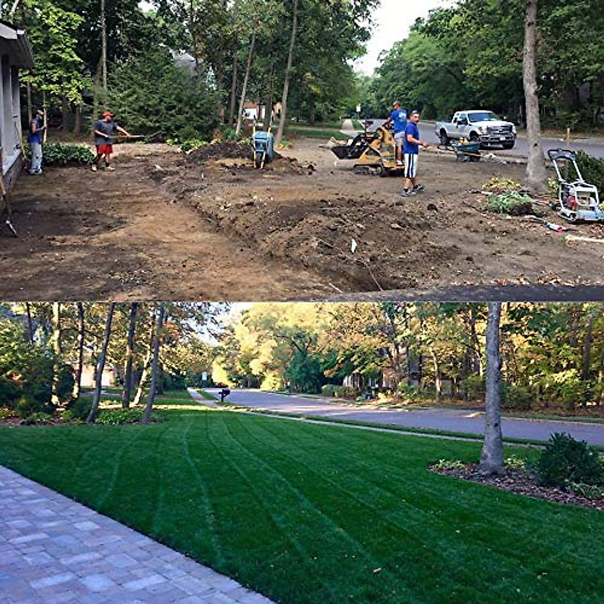 Barenbrug Turf Saver RTF Grass Seed with Yellow Jacket Seed Coating - Less Water Self-Repairing Tall Fescue Turf for Use on Sports Field, Golf Courses, Parks, Lawns, and Yard (10 LB Bag)