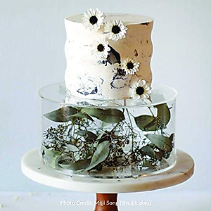 Lacupella Acrylic Fillable Cake Pillar Stand, Raiser and Enhancer Display Wedding Centerpiece - Decoration with Flowers, LED, Donuts, Sand, Water and More (8 in Diameter 4 in High)