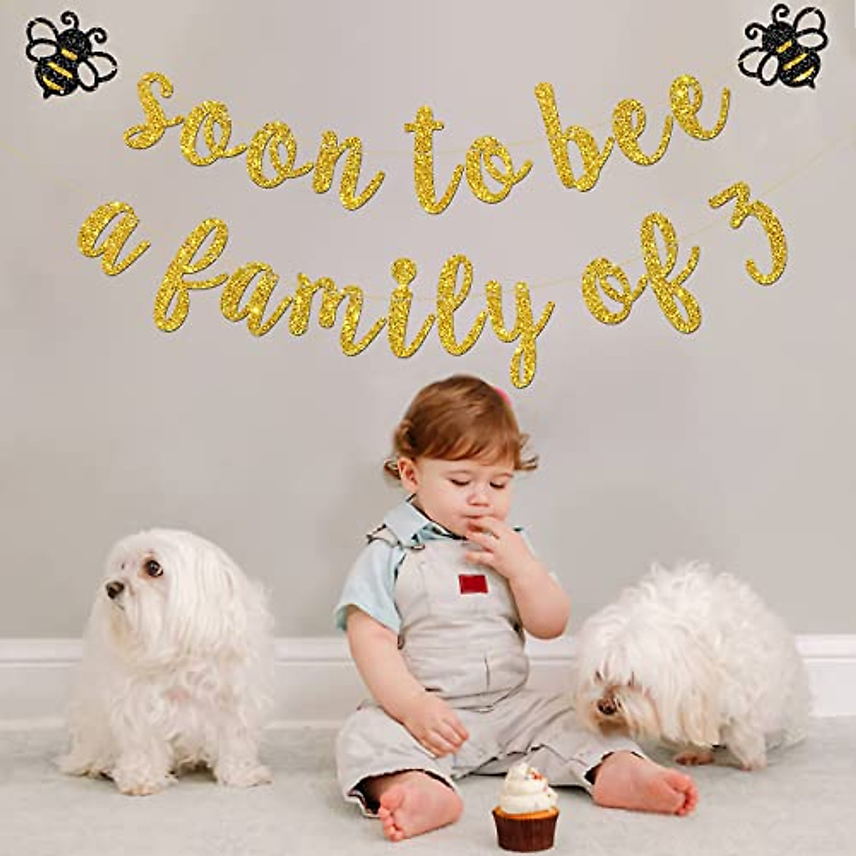 INNORU Soon to Bee a Family of Three Banner, Bumble Bee Theme Baby Shower Party Decorations, Mommy to Bee Daddy to Bee Party, Bee Pregnant Annountanct Party Decorations, Gold Glitter