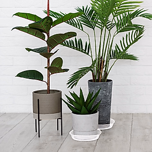 OUPSAUI 4 6 8 Inch Plant Saucer Pot Tray, 6 Pack Clear Plant Saucers for Indoors and Outdoors, Large Plastic Dish Suacer Water Drip Tray for Potted Plants Flowers (4 6 8 Inches)