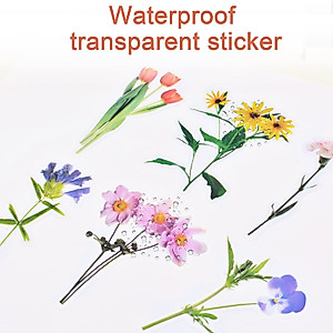 WANDIC Transparent Decorative Stickers, 240 Pieces Waterproof Floral Stickers Flower Sticker Set for DIY Diary Laptop Stationery Phone Case Envelop Calendar Card Making