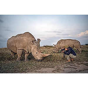 Nikon D6 FX-Format Digital SLR Camera Body, Black (Renewed)