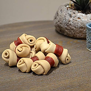 NutriChomps Dog Chews, 2.5-inch Knots, Easy to Digest, Long Lasting, Rawhide-Free Dog Treats, 8 Count, Real Chicken flavor