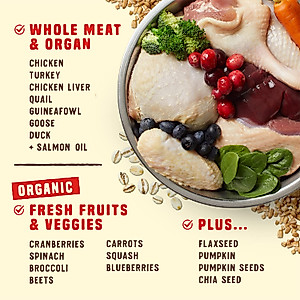 Stella & Chewy's Wild Red Dry Dog Food Raw Coated High Protein Wholesome Grains Prairie Recipe, 3.5 lb. Bag