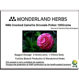 WonderLand Herbs Organic Cracked Cell Wall Wild Harvested Camellia Sinensis Pollen Powder 100 Grams (3.5 oz.) for Beauty