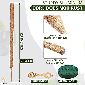 EcoNour Moss Pole for Plants - 28 Inches (2 Pack) | Monstera Plant Support for Vertical Growth | Indoor Climbing Plant Support for Potted Plants Like Pothos, Philodendrons, and More