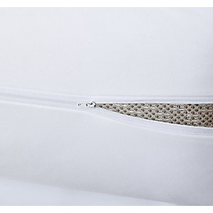 ienjoy Home Ultra Soft Paisley Patterned 4 Piece Sheet Set Home Collection Premium Bed Bug and Waterproof Zippered Mattress Protector, California King, Calking, White, IEH-Bedbug-Calking