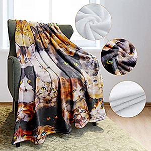 YISUMEI 40" x 50" Blanket Comfort Warmth Soft Plush Throw for Couch Cute Cats Breed Collage Pet