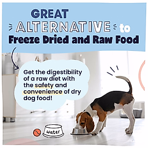 Pawstruck All Natural Air Dried Dog Food with Real Beef, Grain Free, Made in USA, Non-GMO, Vet Recommended, High Protein Limited Ingredient Full-Feed, All Breeds & Ages, 2.5oz Trial Bag