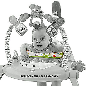 Fisher Price Jumperoo Replacement Seat Pad (CBV62 WOODLAND FRIENDS)
