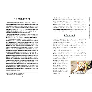 保護猫の育て方