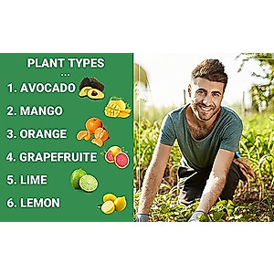 Gardenwise 6-4-6 Avocado and Citrus Tree Professional Fertilizer Plant Food for Outdoor/Indoor Gardening; Quick-Release Nitrogen Fertilizer; Orange, Lime, Avocado and Lemon Tree Fertilizer (2 QUARTS)