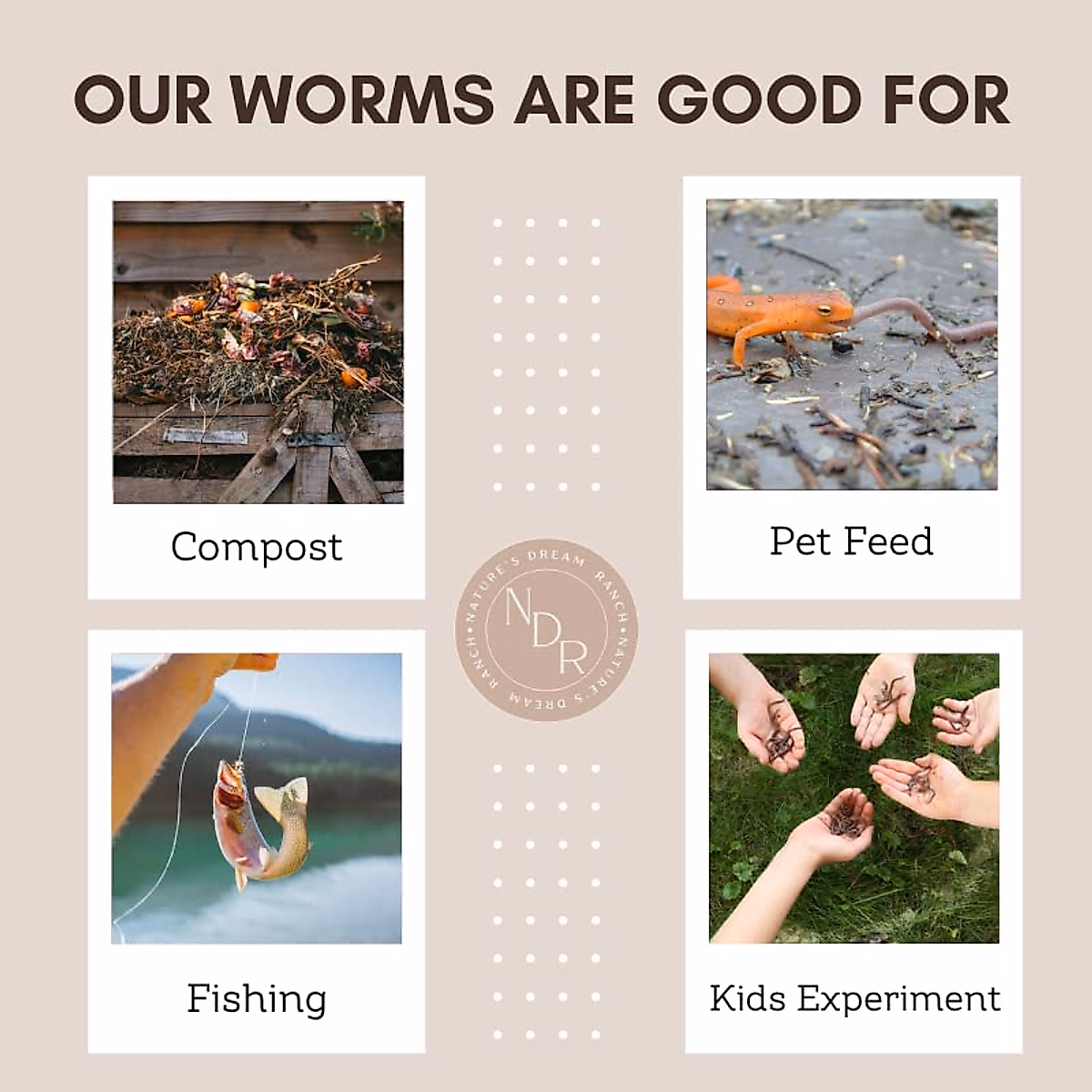 Nature's Dream Ranch 150 Count Live Red Wiggler Earthworms Vermicomposting Garden Red Wrigglers - Farm Composting, EW001-150A 0