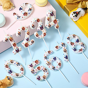 Cat Birthday Number Candles Cat Paw Print Themed Birthday Candles Cat Paw Print Numeral Cupcake Topper for Birthday Cake Kitten Pet Theme Decorations Party Supplies(Number 1)