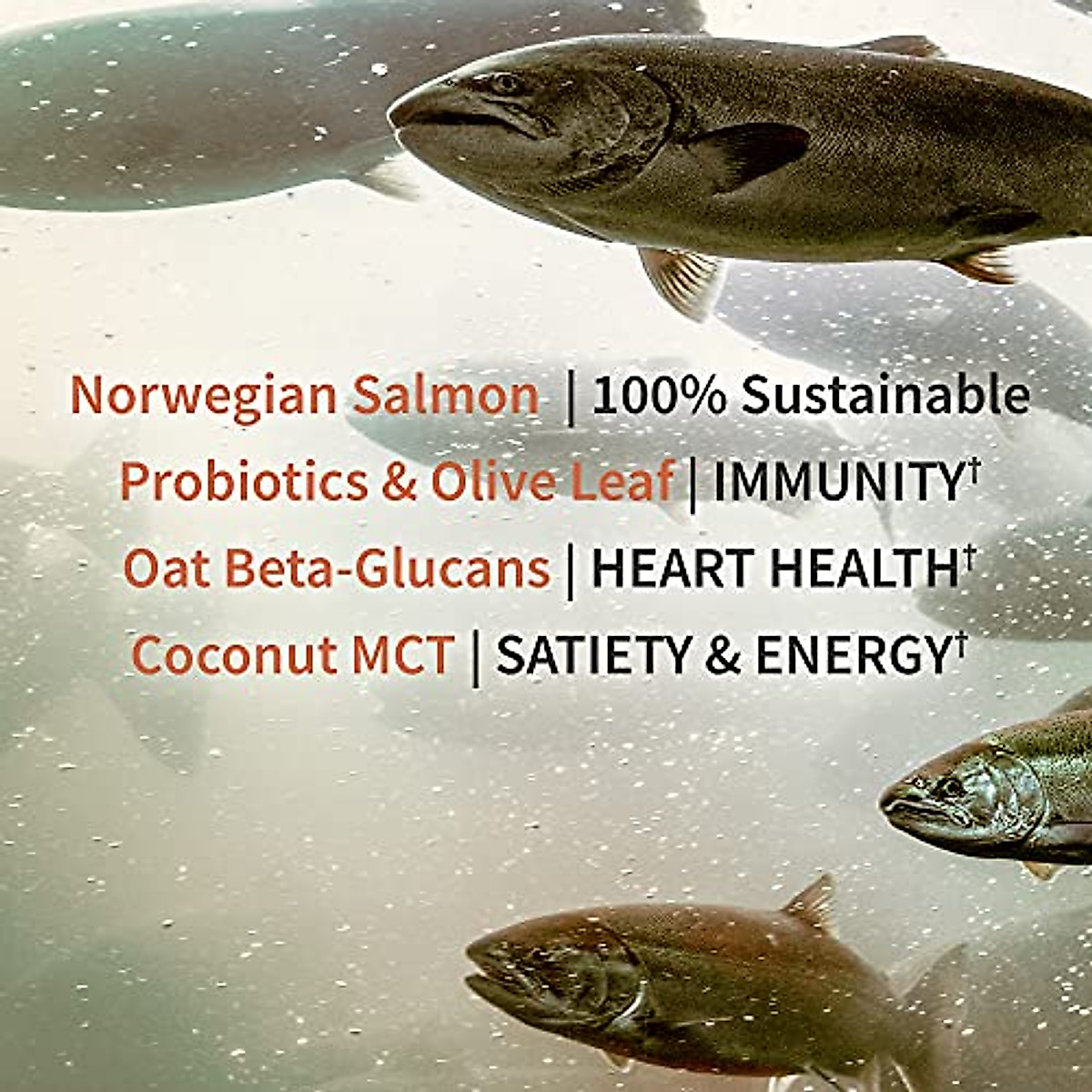 Garden of Life Norwegian Salmon & Vanilla Plant Based Protein with Pea & Fava Plus Immune Support with Probiotics for Digestion & Immunity – Dr Formulated MD – Non GMO, Carbon Neutral, 14 Servings