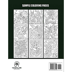 Hummingbird Coloring Book: An Adult Coloring Book Featuring Charming Hummingbirds, Beautiful Flowers and Nature Patterns for Stress Relief and Relaxation