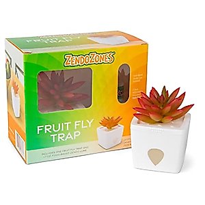 ZendoZones Fruit Fly Trap with Zendo Lure, Joyful Janet with Plastic, White Base, Refillable and Reusable, Long-Lasting