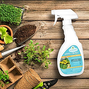 PureGro Weed Crush Ready-to-Use | Organic Herbicide | Pet and Kid Friendly | Fast Acting | Non-Synthetic, All Natural |