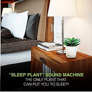 Sleep Plant - Sound Machine - Fan Sounds - White Noise - Nature Sounds