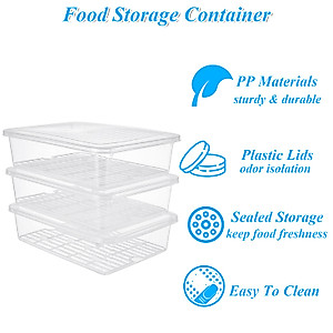 QTLCOHD 8 Pack Large Food Storage Containers with Removable Drain Plate and Lid for Meat Fruits Vegetables Freezer Storage