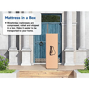 wowttrelax Queen Mattress 12 inch Hybrid Memory Foam Pocket Innerspring - 9 Zone Ergonomics, Comfortable Medium Firmness, Back Pain Relief, Pressure Relief Comfortable Medium Firm