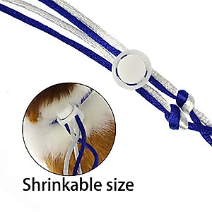 Toysructin 5Pcs Hamster Harness Leash with Bell, Adjustable Small Animal Training Traction Rope, Colorful Rat Leash Lead Mini Pet Walking Running Ropes for Hamster, Rat, Ferret, Mouse, Squirrels
