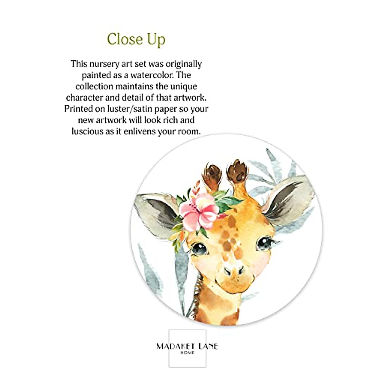 Safari Nursery Girl - Safari Animal Pictures Wall Art - Baby Room Animal Prints - Jungle Babies Wall Decor - Little Girls Room Wall Decor - 8x10 - UNFRAMED (Safari Girls 6)