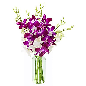 Kabloom PRIME OVERNIGHT DELIVERY - Exotic Opal Orchid  Bouquet of Purple and White Orchids from Thailand with Vase