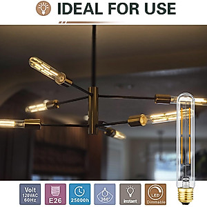 Leools Dimmable E26 Light Bulb 8W Equal 75 watt led Light Bulb Warm White 2700K AC120V Edison Light Bulbs 75 Watt 800LM Clear T10 led Bulb for Rustic Pendant,Industrial Pipe,Wall sconces,4Pack