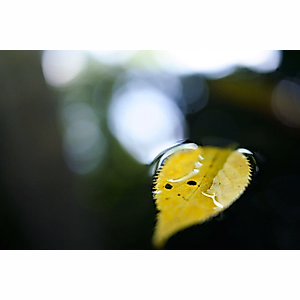 TAMRON F053SF 35mm f/2.8 Di III OSD Sony E-Mount, Black