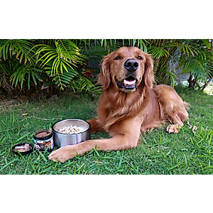 Northern Cascades Dog Immunity Supplement Supporting Superfood Mushroom to Strengthen K9 Immune System and Increase Vitality