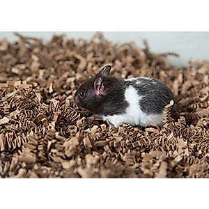 ECO BEDDING Fibercore for Small Pet, 3 lb, Brown