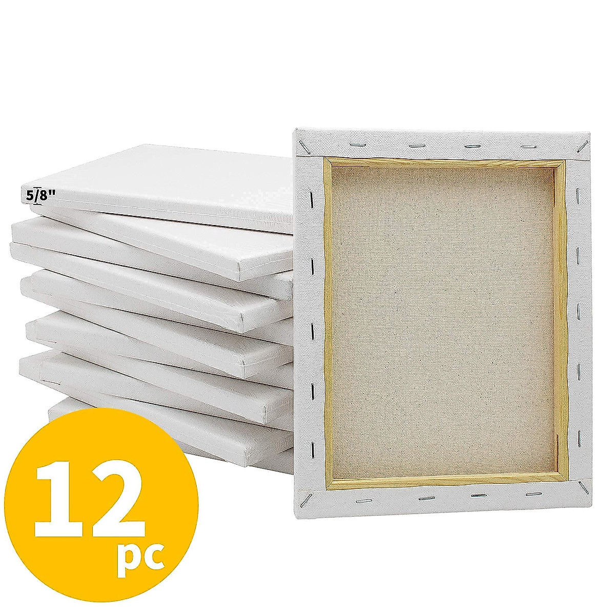 FIXSMITH 8 X 10 Inch White Stretched Canvases 12 Pack & Artist Quality Acrylic Paint Set, 12 Colors/Tubes (12 ml/0.41 oz.)