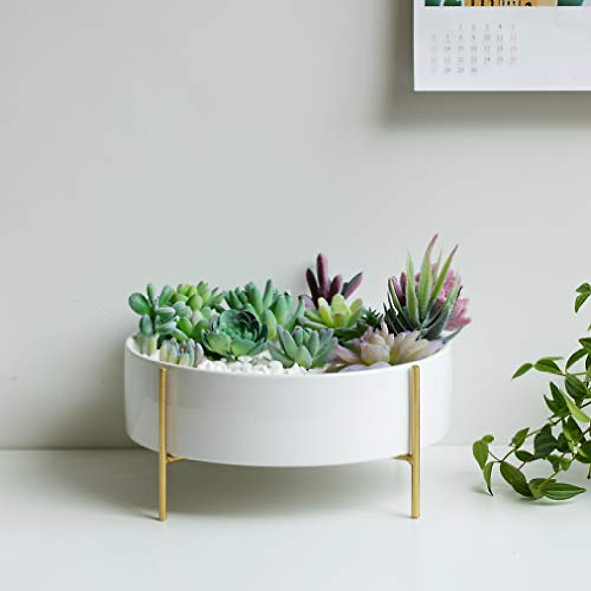 kimisty 10 Inch Large Round Succulent Planter Bowl with Gold Metal Plant Stand, White Ceramic Pot with Drainage, Succulent Garden Shallow Pot, Centerpiece Tabletop