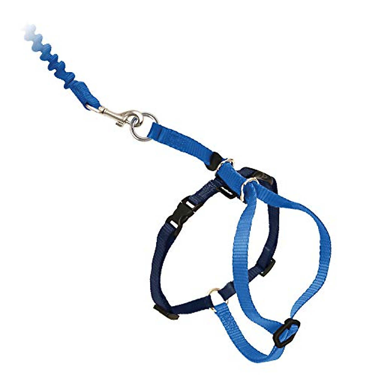 PetSafe Come With Me Kitty Harness and Bungee Leash, Harness for Cats, Large, Royal Blue/Navy