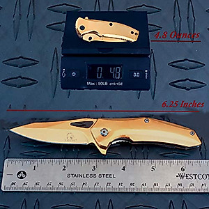 Falcon KS33407 6.5" in. Multicolor Folding Pocket Knive with 2" Clip Point Blade for Outdoor, Tactical, Survival and EDC