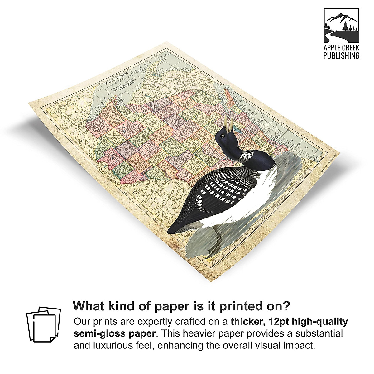 Apple Creek Wisconsin State Map Common Loon Call Decoy Poster Art Print 11x14 Cabin Wall Decor Pictures