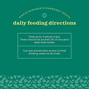 Oxbow Simple Rewards Treats Rabbit Guinea Pig Chinchilla Strawberry .5 oz 3 Pack