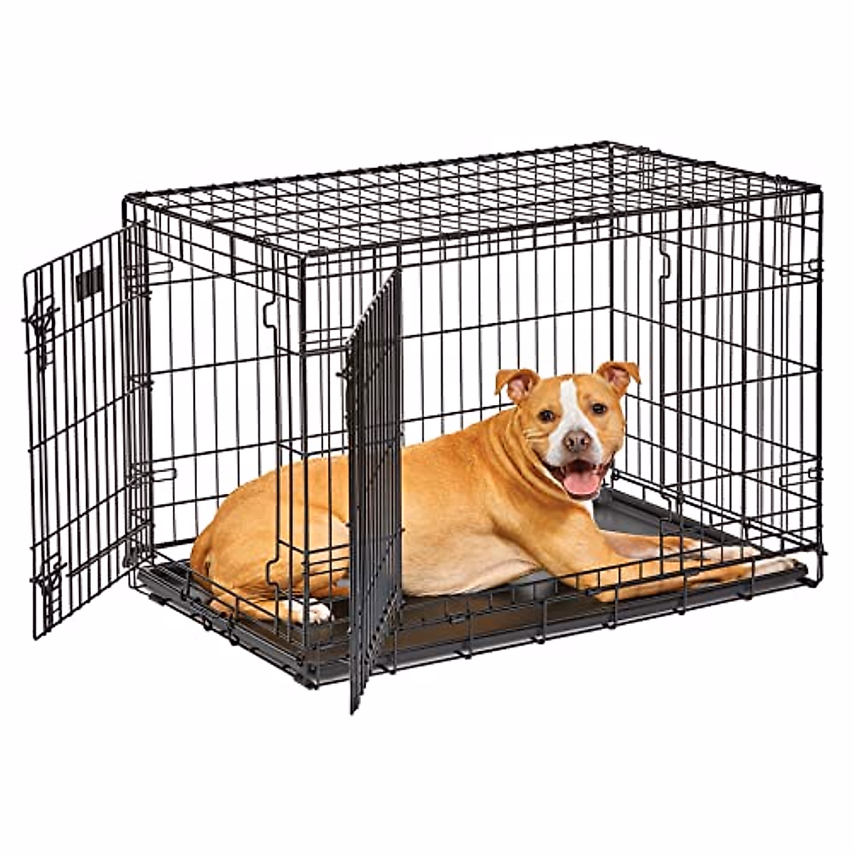 Dog Crate | MidWest Life Stages 36" Double Door Folding Metal Dog Crate | Divider Panel, Floor Protecting Feet, Leak-Proof Dog Pan | 36L x 23W x 25H Inches, Intermediate Dog Breed