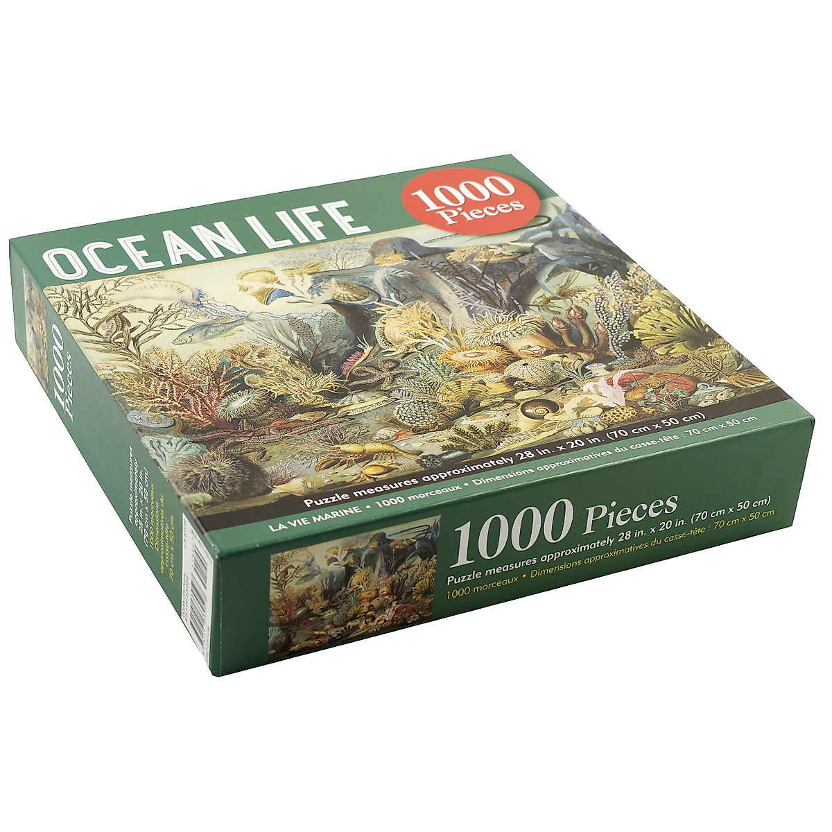 PETER PAUPER PRESS, Inc. Ocean Life 1000 Piece Jigsaw Puzzle