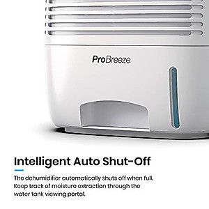 Pro Breeze Premium Electric Dehumidifiers for Bathroom Small, 2200 Cubic Feet (250 sq ft), 52oz Capacity, Compact and Portable for Humidity in Home, Basement, Bedroom, RV, Office, Garage - Dehumidifiers for Home