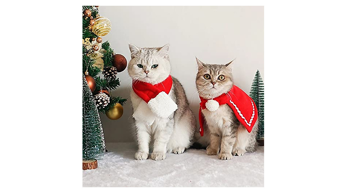 Adorable Cat Christmas Costume Set for Festive Fun